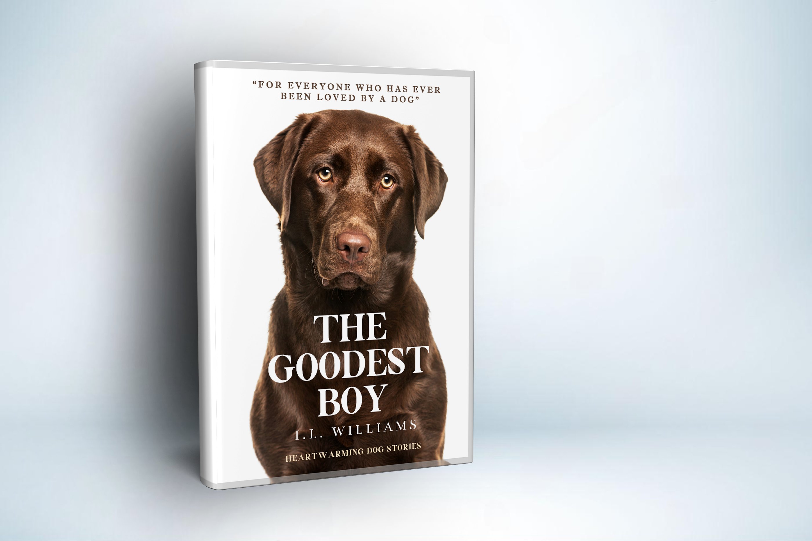 Heartwarming Dog Stories for Dog Lovers | The Goodest