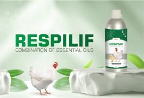Leading Manufacturer & Exporter of High-Quality Poultry Feed Supplement ...