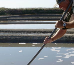 CORINNE COSTA - Artiste | Art Contemporain émotions mémoire | CORINNE ...