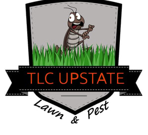 Family Owned Lawn Care & Pest Control Services in Upstate SC | Tlc Upstate