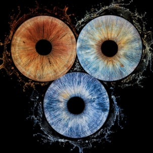 Photo iris à Bulle I Studio photo, art unique