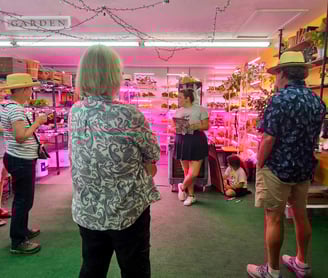 Home- Stump Farms | Stump Farms