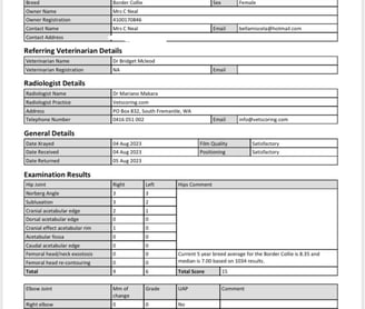 Researching Hip and Elbow Scoring in Border Collies in Australia ...