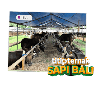 Titip Ternak: Investasi Peternakan Tanpa Ribet | Titipternak