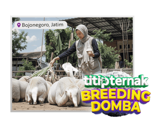 Titip Ternak: Investasi Peternakan Tanpa Ribet | Titipternak