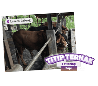 Titip Ternak: Investasi Peternakan Tanpa Ribet | Titipternak