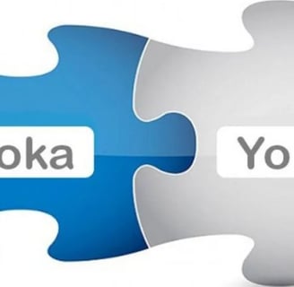 O que é Poka Yoke e Como Aplicar na Sua Empresa: Guia Completo ...