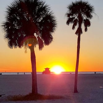 Siesta Key Beach | Voted #1 Beach | Photos | Siesta Beach