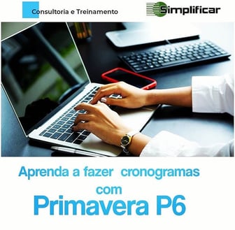 Curso Primavera P6 online ou presencial | Só Simplificar