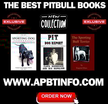 AMERICAN PIT BULL TERRIER INFORMATION - APBT INFO | APBT INFO
