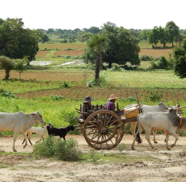 The Impact of the Vacant, Fallow, and Waste Land Management Actand the ...