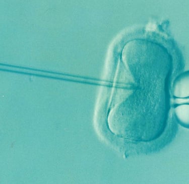 Press release: QRDI Funds New 3-Year Project to Explore Female ...