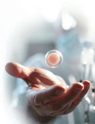 Stem Cell Therapy Baja-Regenerative Medicine in Mexico | Stem Cell ...