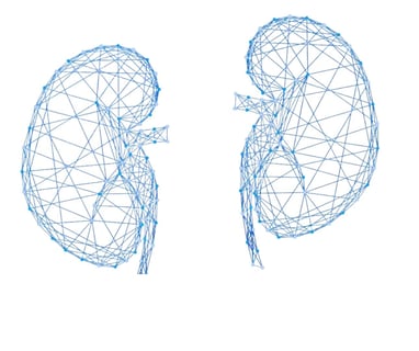 Innovative Non-Invasive Testing Devices for Chronic Kidney Disease ...