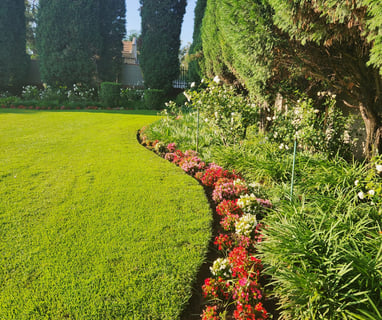 World Class Landscaping and garden design | Catscapes