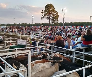 Join the Action at Blythewood's Premier Annual Events | Blythewood ...