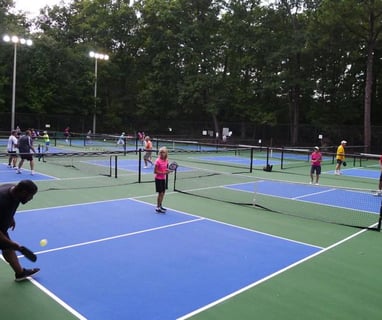 Pickleball in Richmond VA: Exploding in Popularity for All Ages | RVA ...