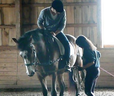 Quality Care for Your Equine Partner at Our 22 Acre Farm | Monmouth ...