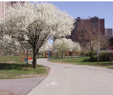 Aisha Hernandez Ahmed for City Council District 12 | Fighting for ...