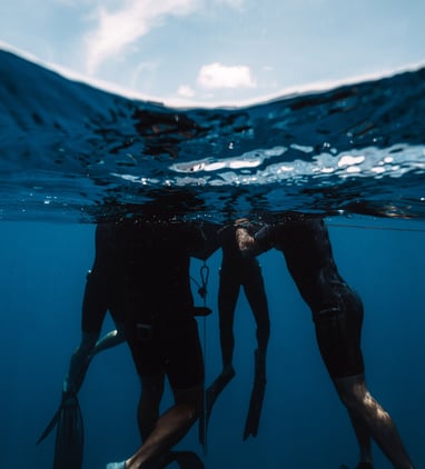 A Single Breath Adventure | APNEA PHI PHI - Freediving School