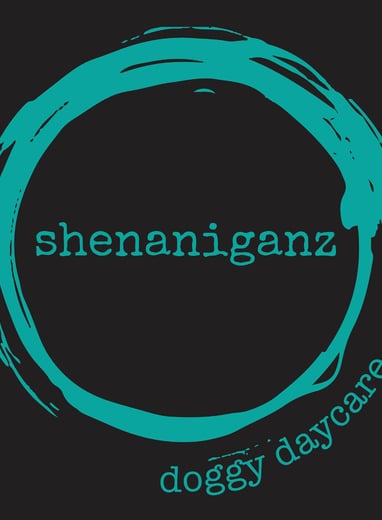 Safe and Fun Environment for Your Dog | Sparkpaws Dog Clothing ...