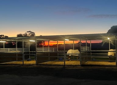 Rory Hunter Racing: Premier Thoroughbred Stable | Rory Hunter Racing