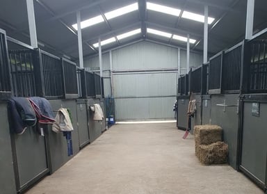 Rory Hunter Racing: Premier Thoroughbred Stable | Rory Hunter Racing