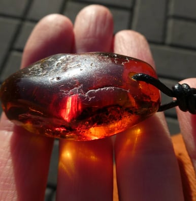 Authentic Baltic Amber Jewelry | Shop Natural Amber Collection | www ...