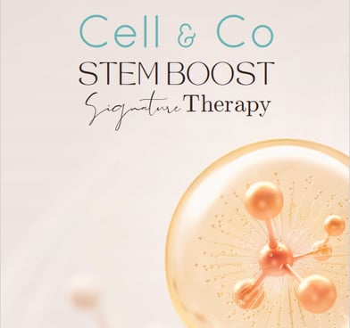 JX Cham, MD - Distinguished Doctor in Holistic Wellness & Regenerative ...