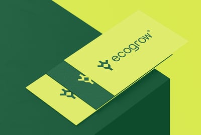 Logo and Branding Design Agency for Startups | Logotypely