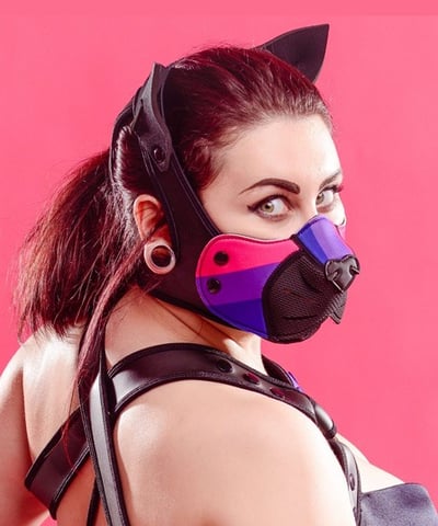 Mistrbear | Pup-World