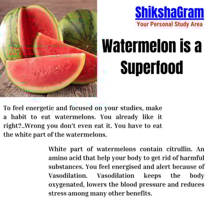 Gallery | ShikshaGram