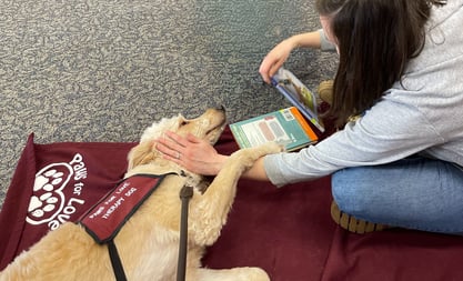 Paws for Love Therapy Dogs Inc | Paws For Love Therapy Dogs Inc