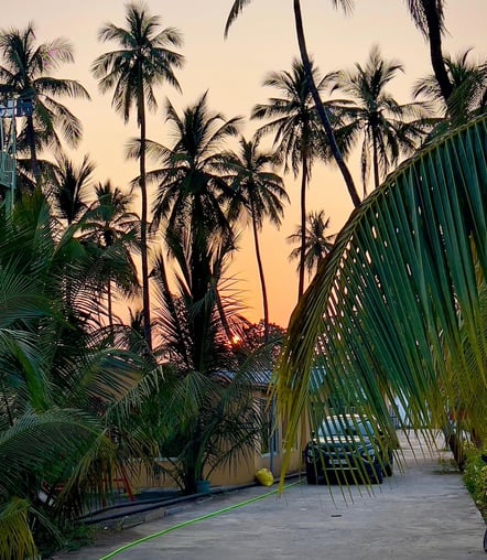 Purna River Retreat: Family-Friendly Resort Near Surat for One-Day ...