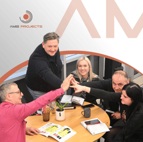 Professional Manpower Solutions | AMIS projects