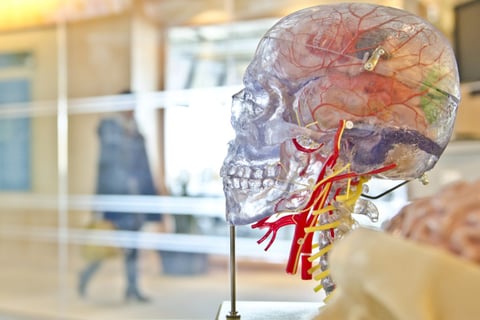 ESD Lab: Researching Emotions and Decision Making | ESD Lab