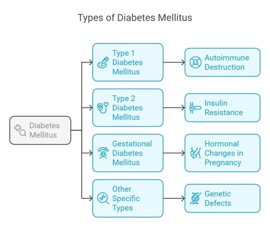 Understanding Diabetes Mellitus: A Chronic Disorder | Bio-chem_hub