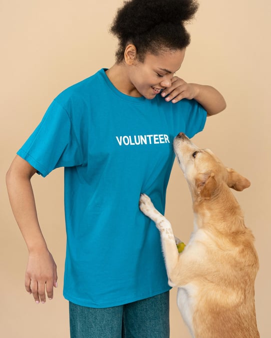 Dabbcare: Saving Paws - Animal Welfare NGO in Pakistan | Dabbcare