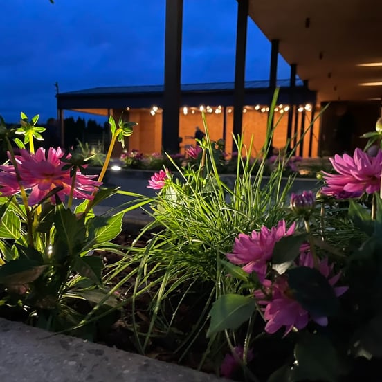 Restoranas Scena | Restoranas Scena