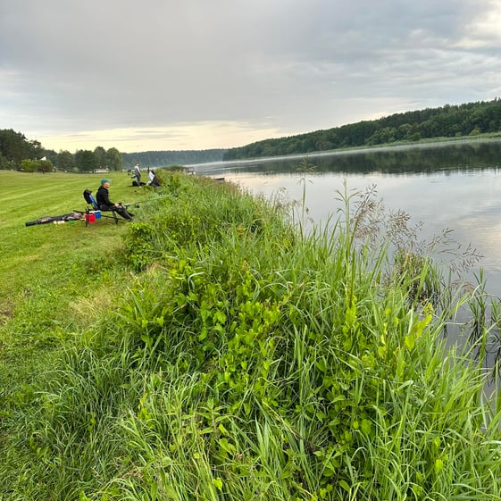 Fishing Fan Club - Žūklės rezultatai ir klubo varžybos | The Bream Bandits