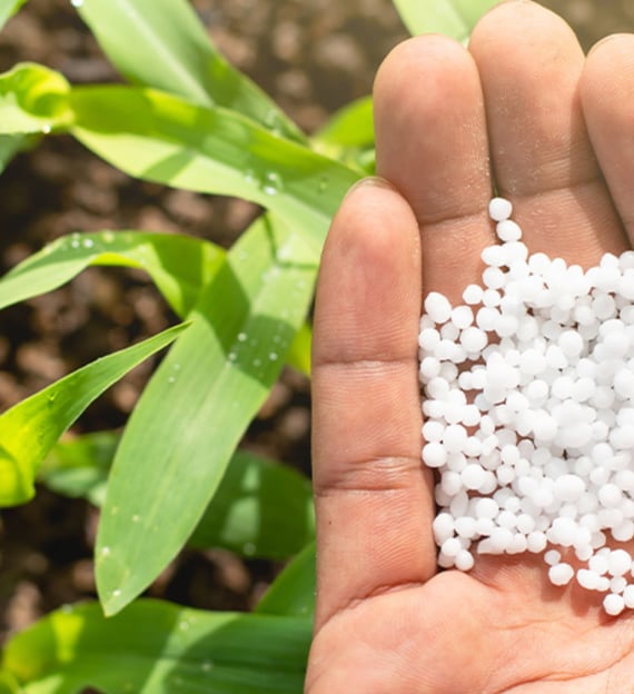 La Urea Agrícola ¿Se usa o no para el sector automotriz? | Loguim