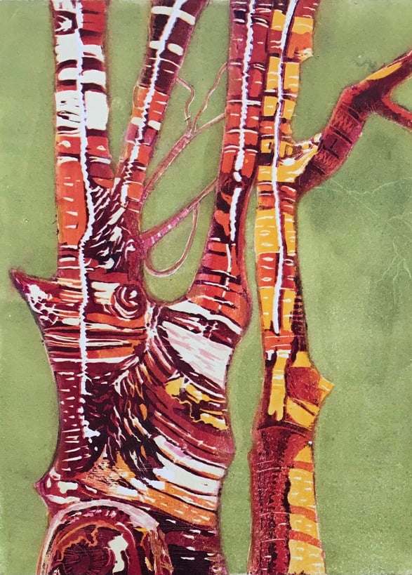 Ann Waddington Lino Prints - Nature-inspired Artwork | Ann Waddington ...