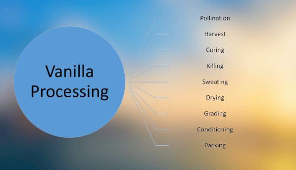 Vanilla Process | ORCID