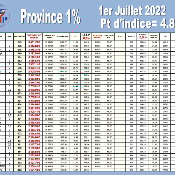 grilles de salaire | FPIP-FEDERATION PROFESSIONNELLE INDEPENDANTE DE LA POLICE