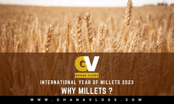 Why Millets are important to the world? | Number One Ghana Web Portal ...