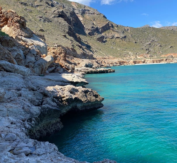 Socotra Specialty Tours - Adventure Tours in Socotra | Socotra ...