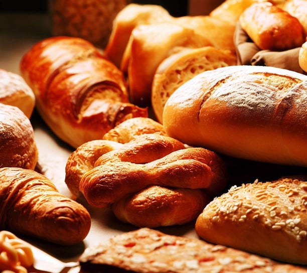 Global Enzyme and Food Preservation Specialists | Sunson Biotechnology