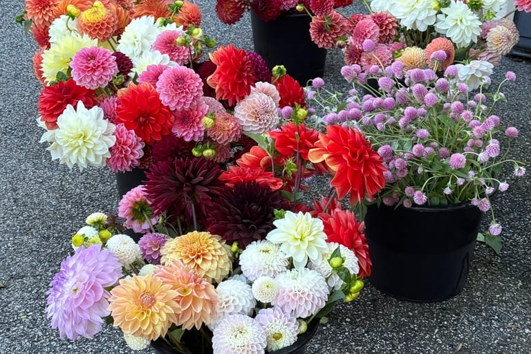 2026 Flower Shares subscriptions | Valley Mill Farm & Flower