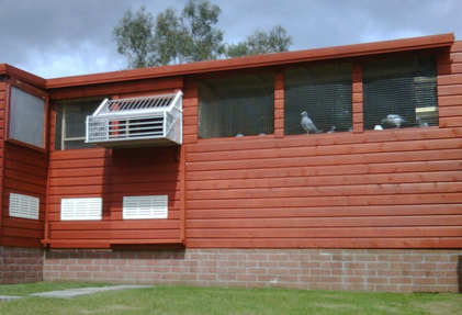 History - Rasbull Lofts Specialist Breeding Loft | Rasbull Lofts Pigeon ...