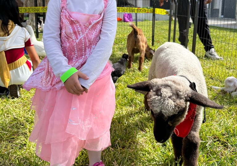 Services | Enchanted Farm Zoo